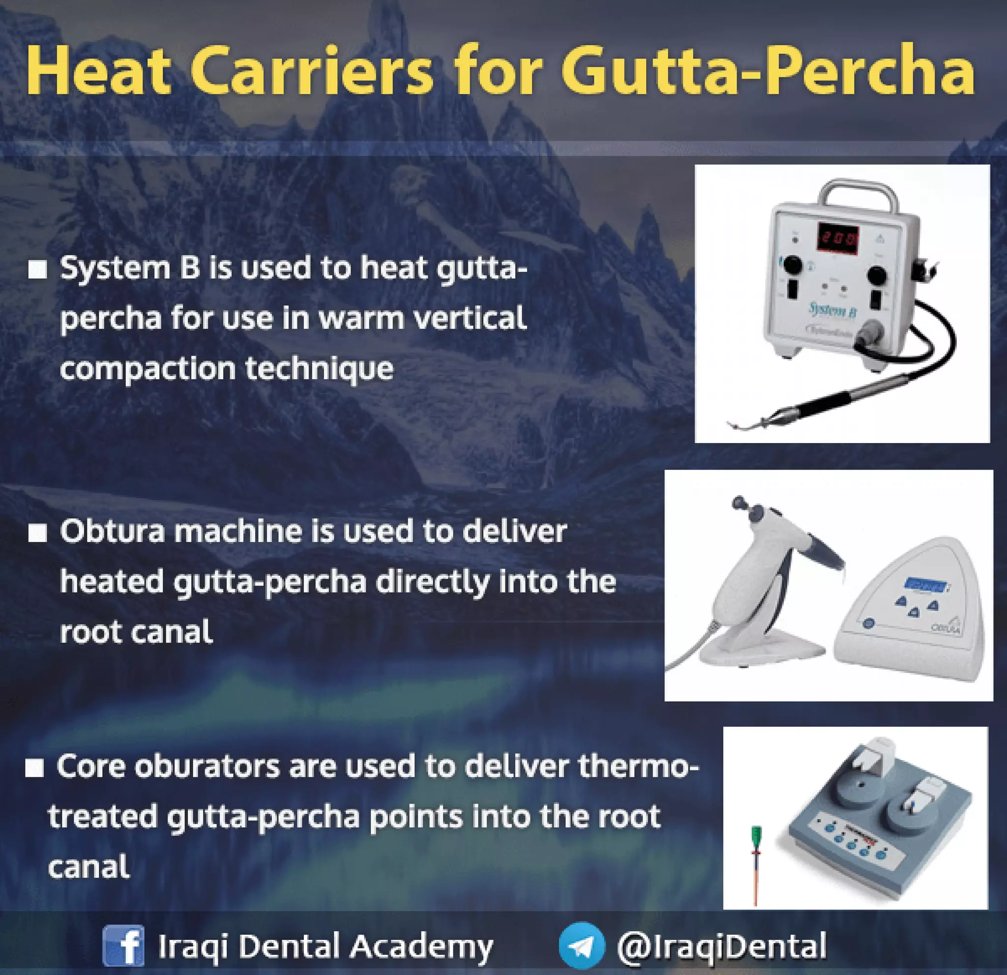 Basic Endodontic Instruments Presentation | PDF