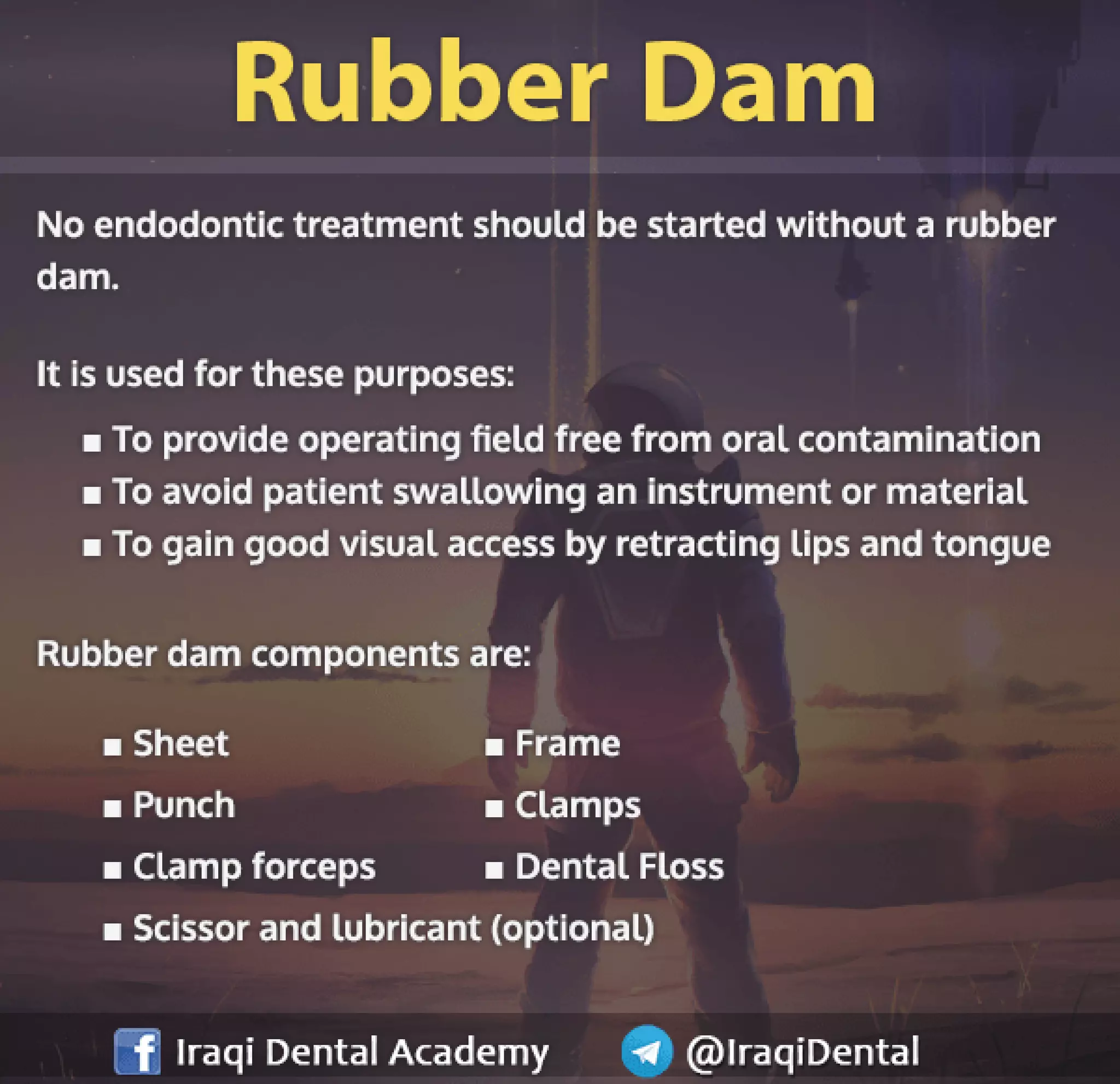 Basic Endodontic Instruments Presentation | PDF