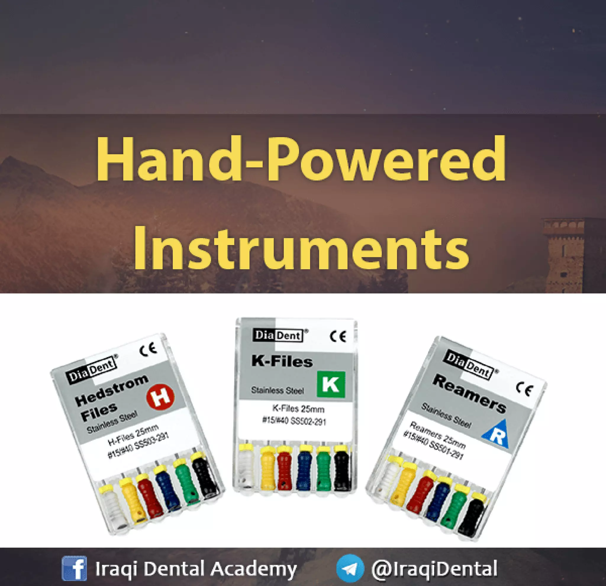 Basic Endodontic Instruments Presentation | PDF