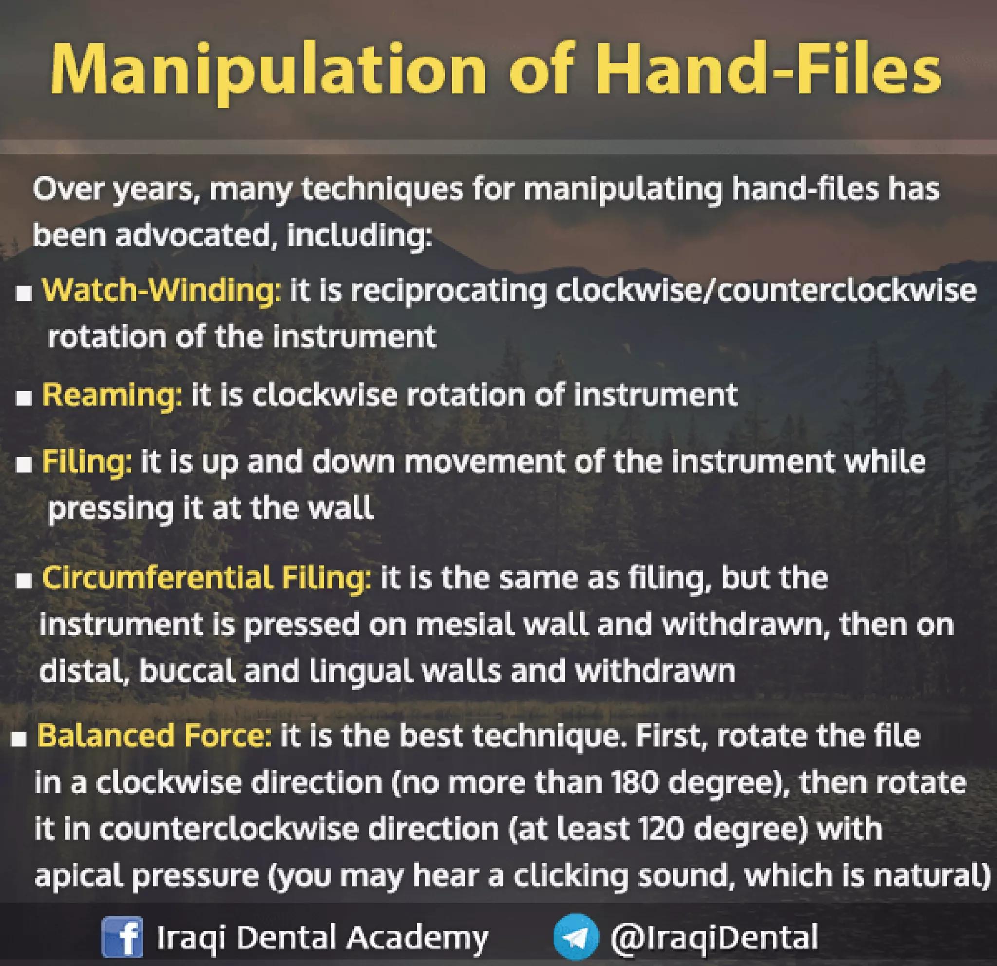 Basic Endodontic Instruments Presentation | PDF