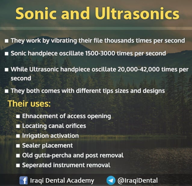 Basic Endodontic Instruments Presentation | PDF | Dental Health ...