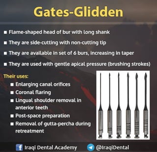 Basic Endodontic Instruments Presentation | PDF