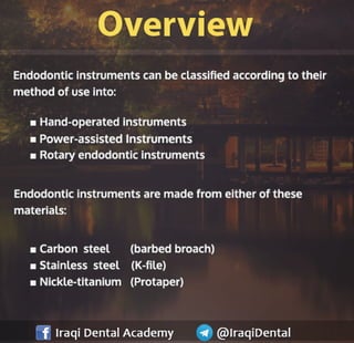 Basic Endodontic Instruments Presentation | PDF