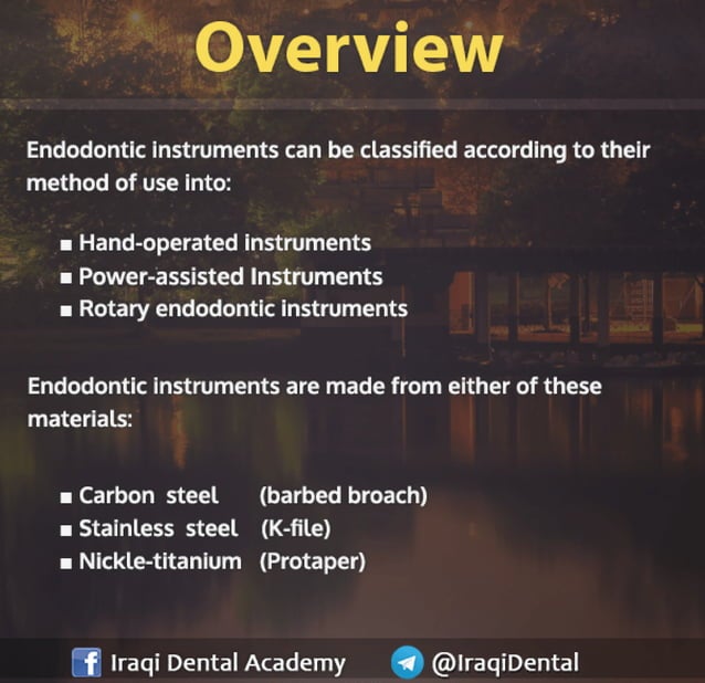 Basic Endodontic Instruments Presentation | PDF | Dental Health ...