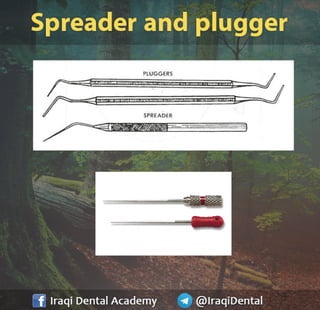 Basic Endodontic Instruments Presentation | PDF