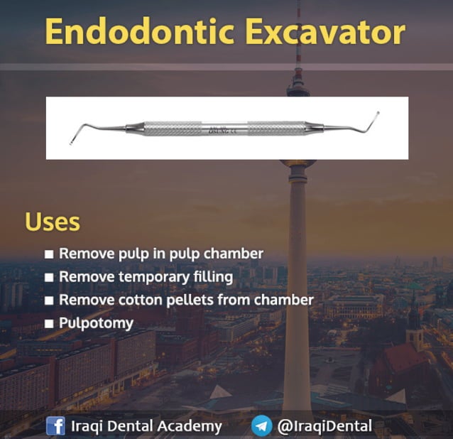 Basic Endodontic Instruments Presentation | PDF | Dental Health | Diseases and Conditions