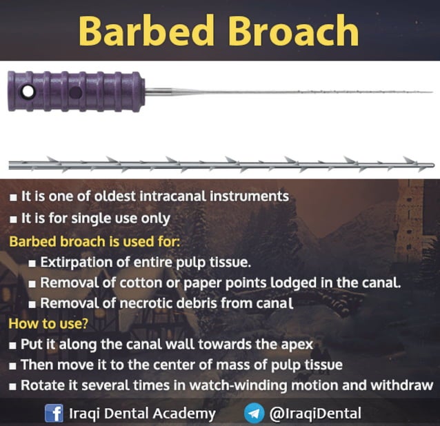 Basic Endodontic Instruments Presentation | PDF | Dental Health ...