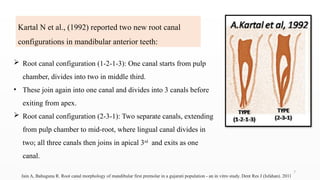 ENDODONTIC MANAGEMENT OF VERTUCCI –TYPE IV MANDIBULAR.pptx
