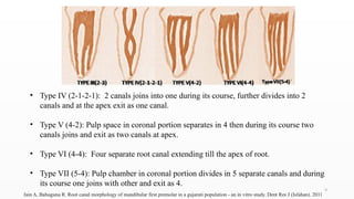 ENDODONTIC MANAGEMENT OF VERTUCCI –TYPE IV MANDIBULAR.pptx