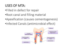 Endodontic materials | PPTX