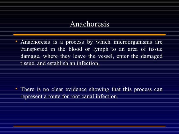 Endodontic microbiology