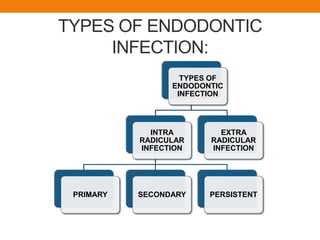 Endodontic microbiology | PPTX