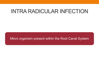 Endodontic microbiology | PPTX