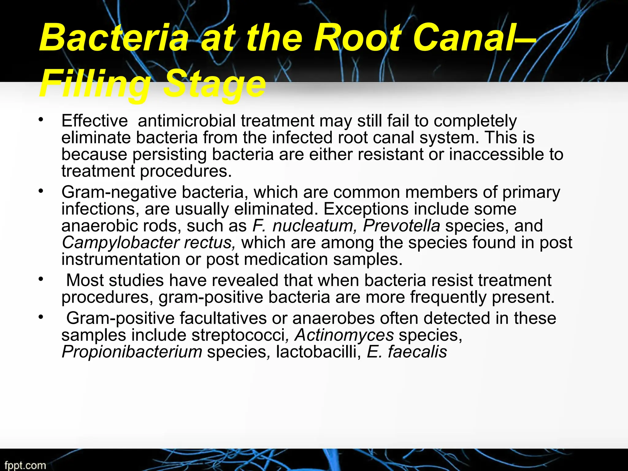 ENDODONTIC MICROBIOLOGY types of bacteria powerpoint | PPT