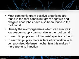 ENDODONTIC MICROBIOLOGY types of bacteria powerpoint | PPT