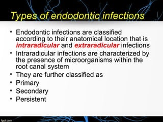ENDODONTIC MICROBIOLOGY types of bacteria powerpoint | PPT