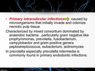 ENDODONTIC MICROBIOLOGY types of bacteria powerpoint | PPT