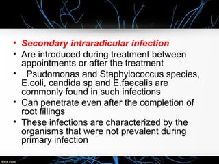 ENDODONTIC MICROBIOLOGY types of bacteria powerpoint | PPT