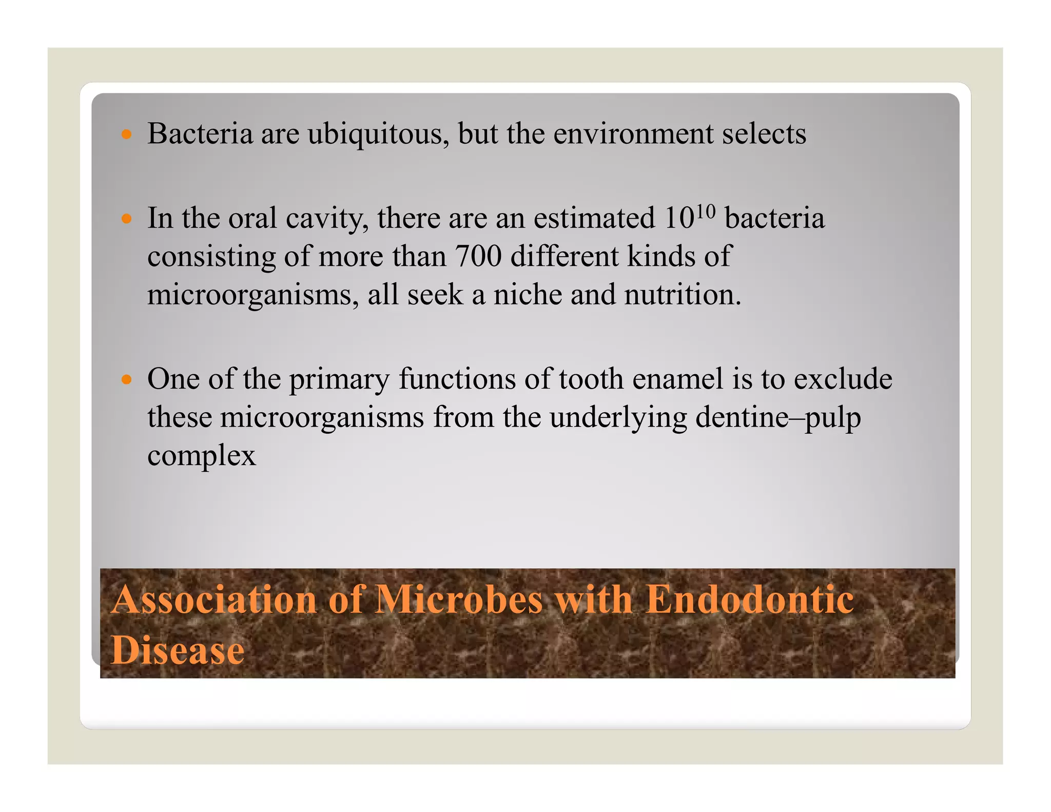 Endodontic microflora | PDF
