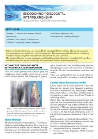Endodontic-Periodontal Relationship Brief Lecture | PDF