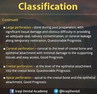 Endodontic Root Perforation: Causes, Identification, and Management ...
