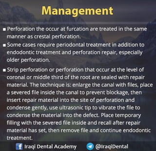 Endodontic Root Perforation: Causes, Identification, and Management ...