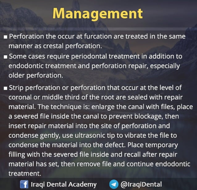 Endodontic Root Perforation: Causes, Identification, and Management ...
