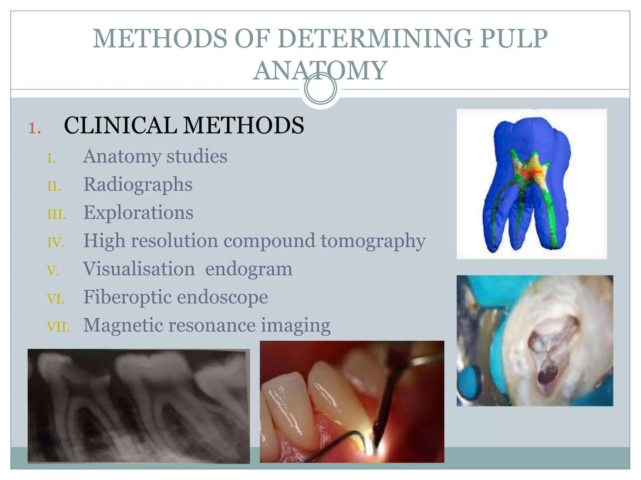 Anatomy of pulp chamber | PPTX