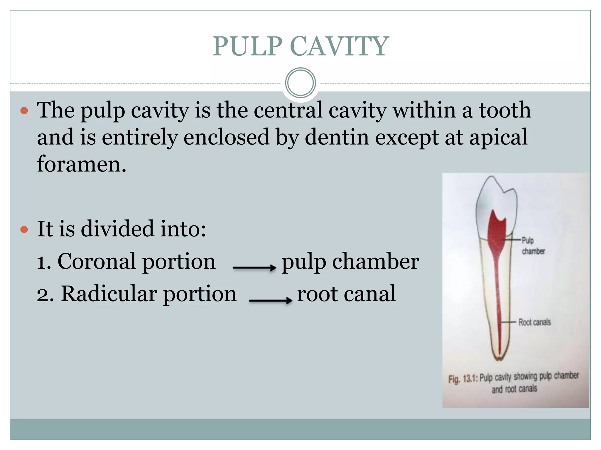 Anatomy of pulp chamber | PPTX