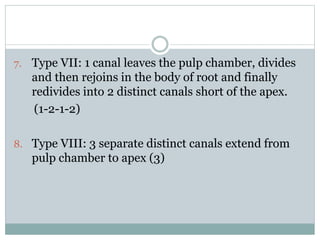 Anatomy of pulp chamber | PPTX
