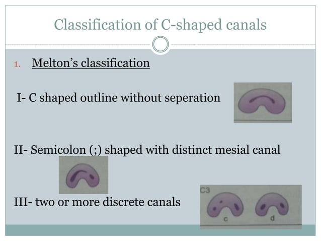 Anatomy of pulp chamber | PPTX | Dental Health | Diseases and Conditions