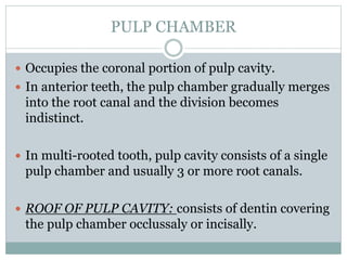 Anatomy of pulp chamber | PPTX