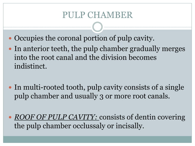 Anatomy of pulp chamber | PPTX | Dental Health | Diseases and Conditions