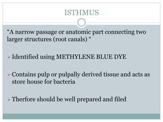 Anatomy of pulp chamber | PPTX