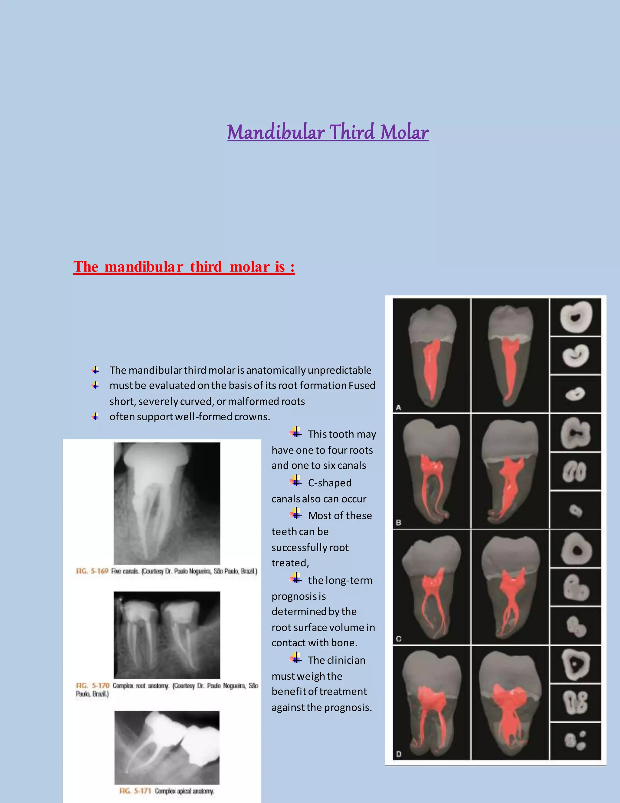 Access opening of second and third molars | DOCX