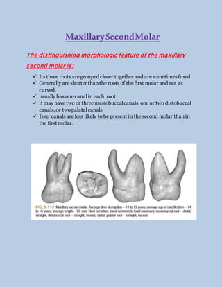 Access opening of second and third molars | DOCX