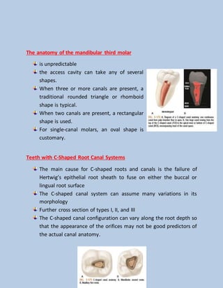Mandibular Third Molar