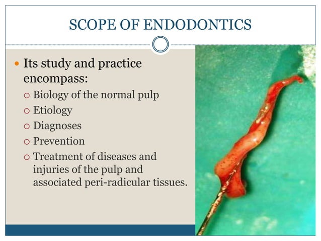 Endodontics - An Introduction | PPTX | Dental Health | Diseases and Conditions