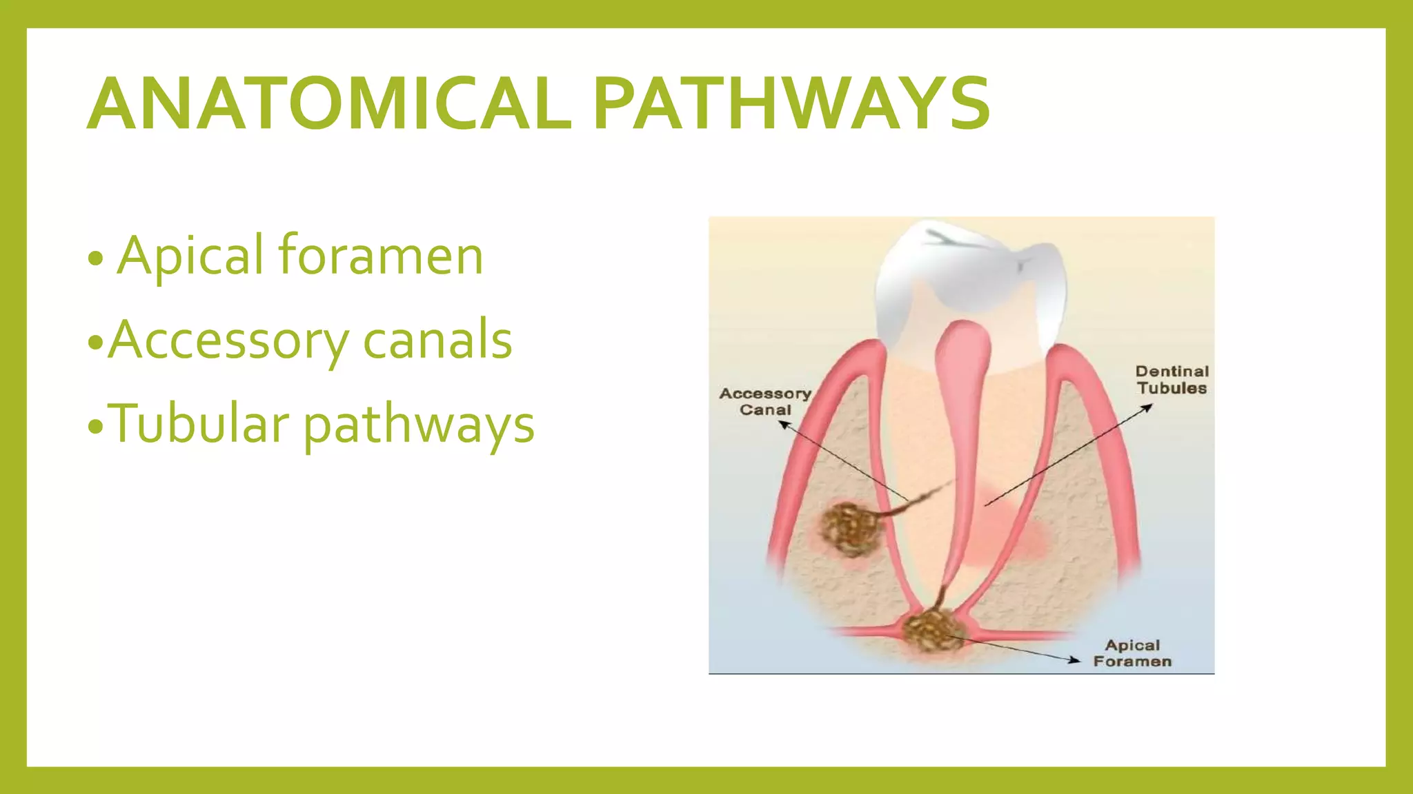 Endodontics periodontal lesions | PPTX