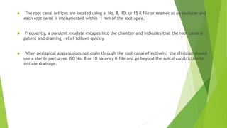 Endodontic treatment of an abscessed tooth | PPT