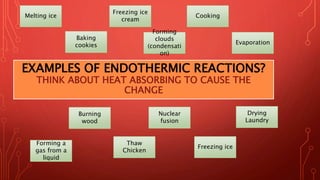 Endo exo notes | PPTX