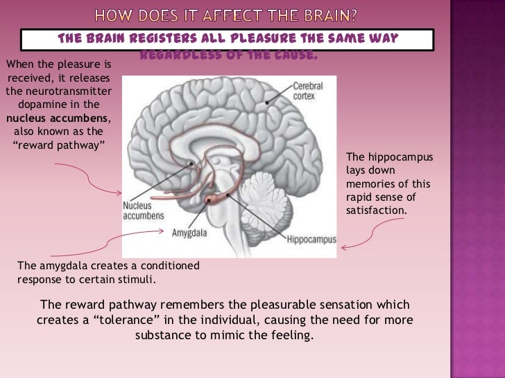 Endof horn.power point.mental-illness.addiction