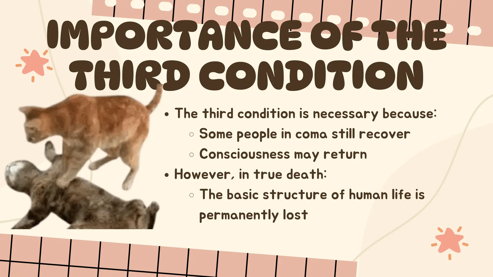 End Of Life Care in Ethics Reporting ppt | PDF