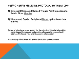 Uncovering the Black Box of Pelvic Pain, Understanding the Role of the ...