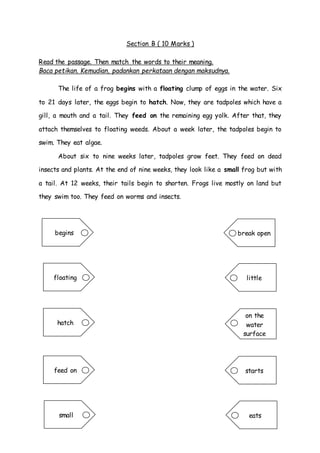 End of year examination english year 3 paper 1 | DOCX