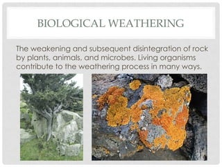 Endogenic-and-Exogenic-Processes.pptx... | PPTX