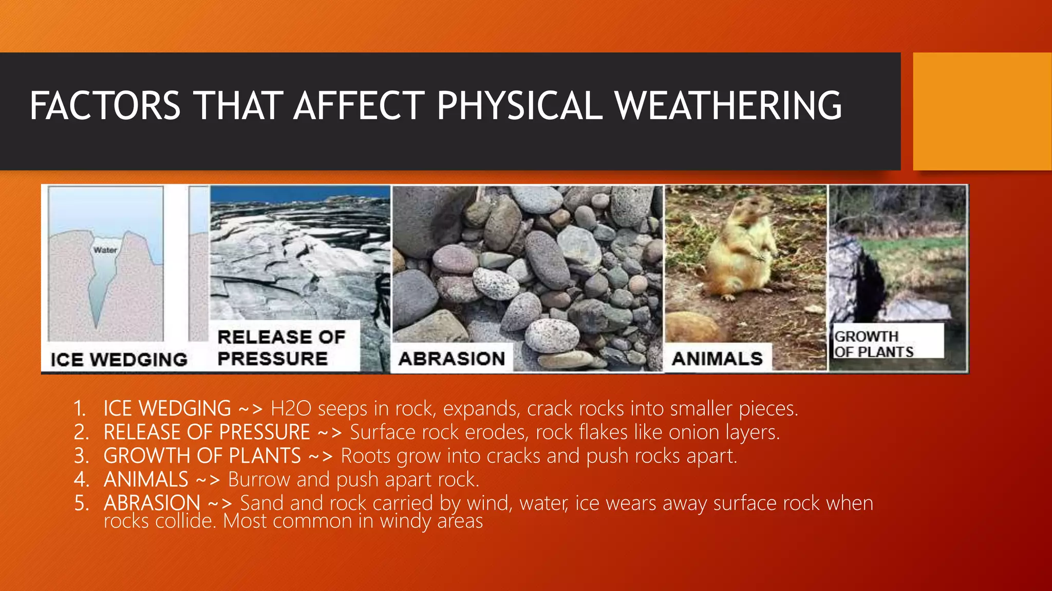 Endogenic and exogenic processes | PPTX