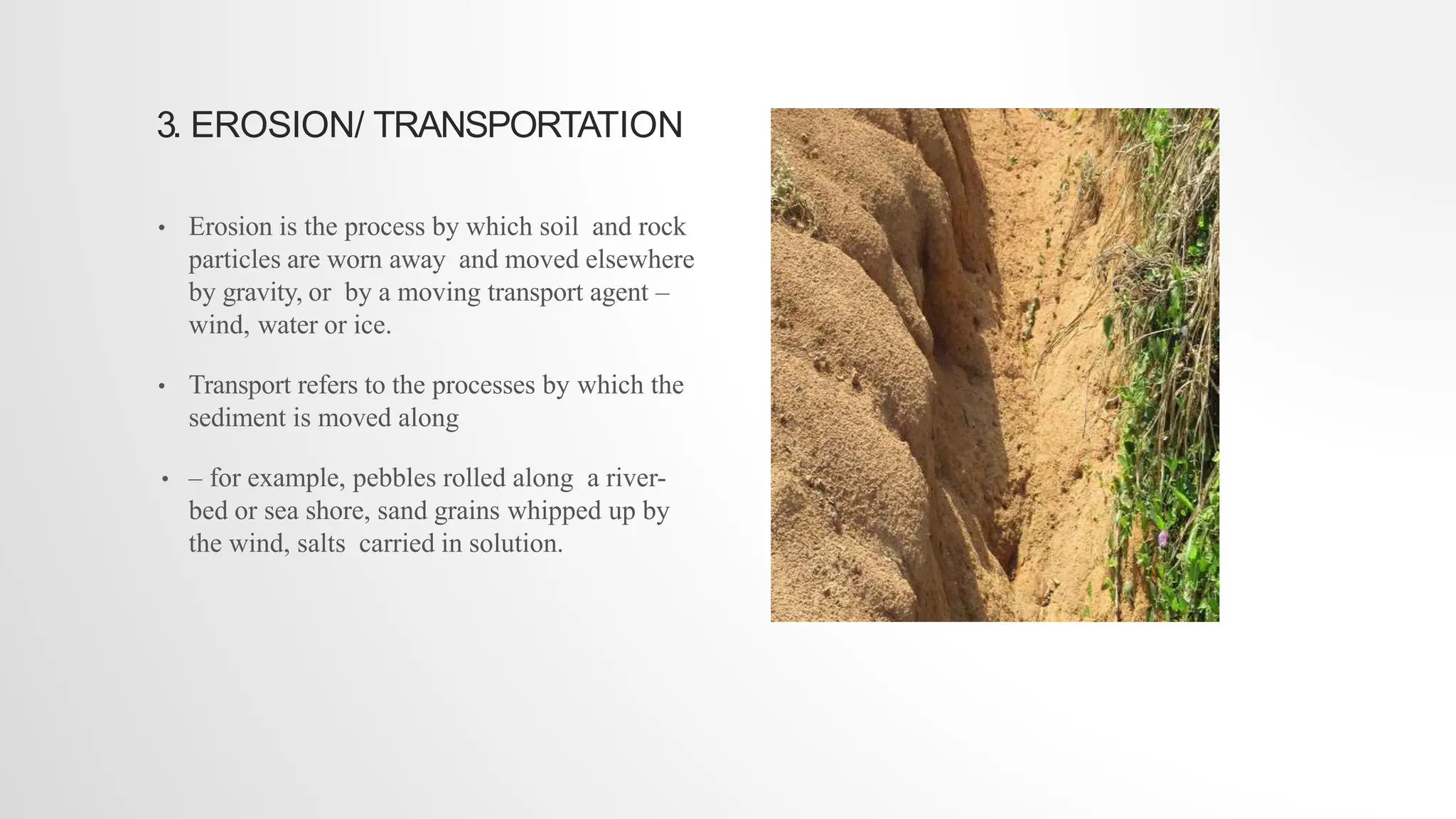 ENDOGENIC & EXOGENIC FORCES AMITAV.pptx