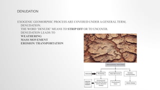 ENDOGENIC & EXOGENIC FORCES AMITAV.pptx