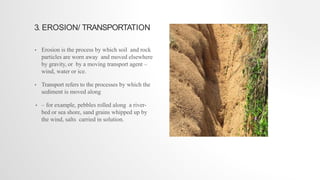 ENDOGENIC & EXOGENIC FORCES AMITAV.pptx